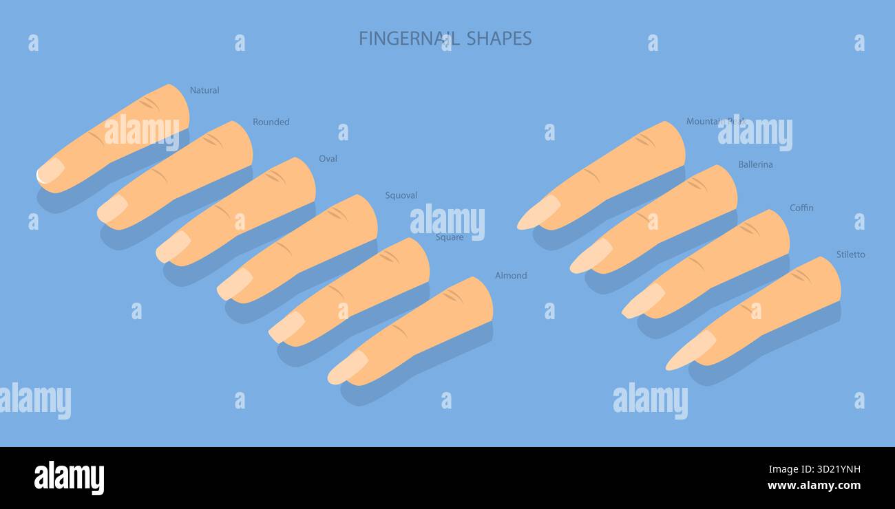 3D Isometric Flat Set of Different Shapes of Fingernails, Iinds of ...