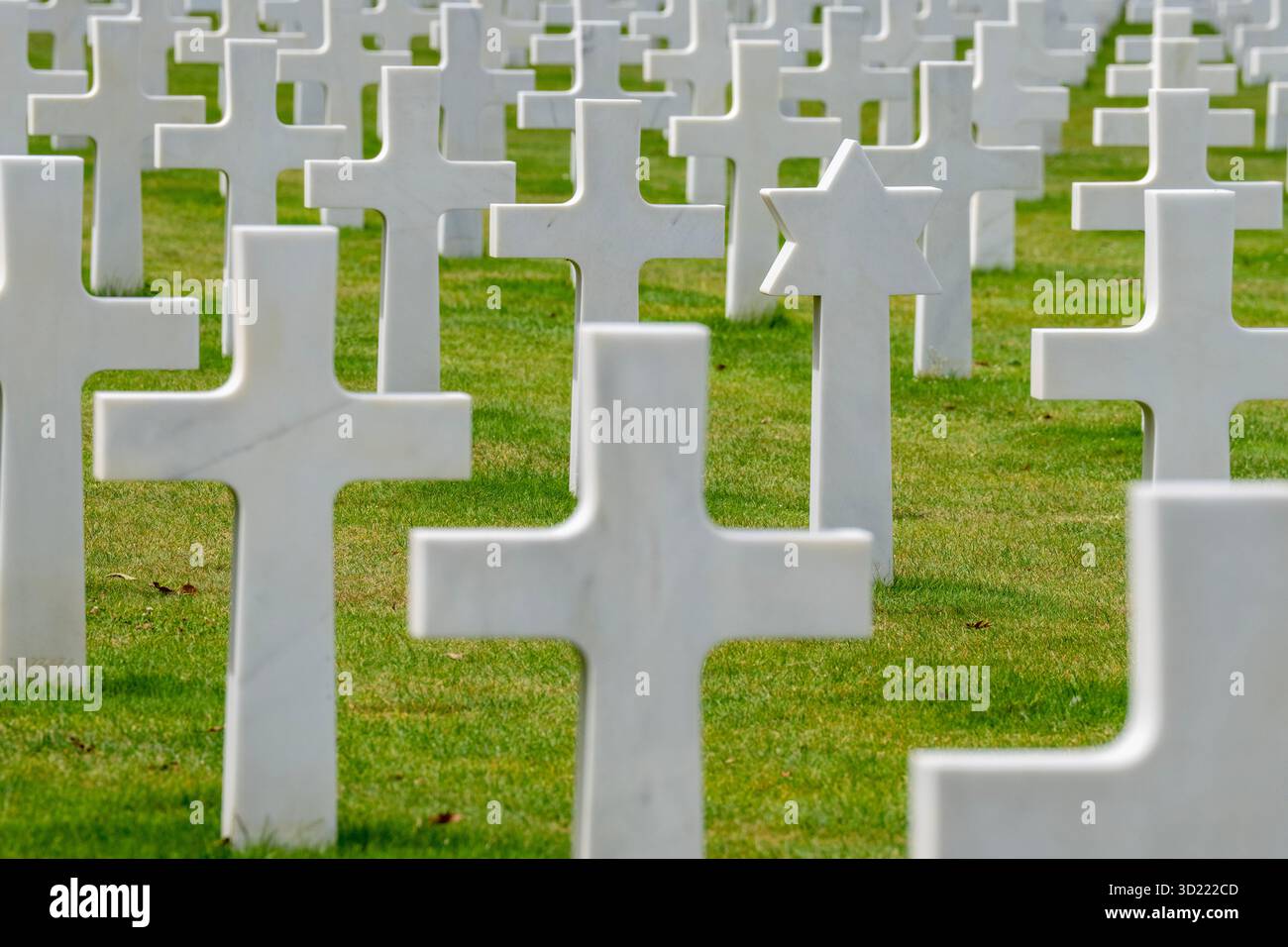 Honoring Sacrifice: A Solemn Journey Through the Normandy American ...