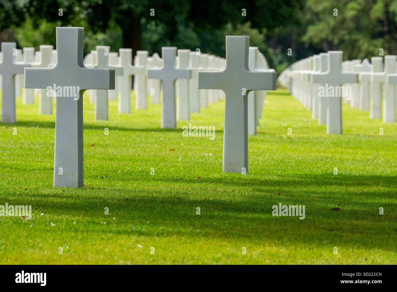 Honoring Sacrifice: A Solemn Journey Through the Normandy American ...