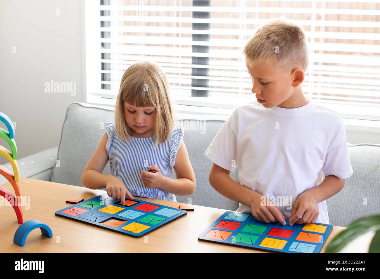 Brother and sister are playing educational wooden logic games. The ...