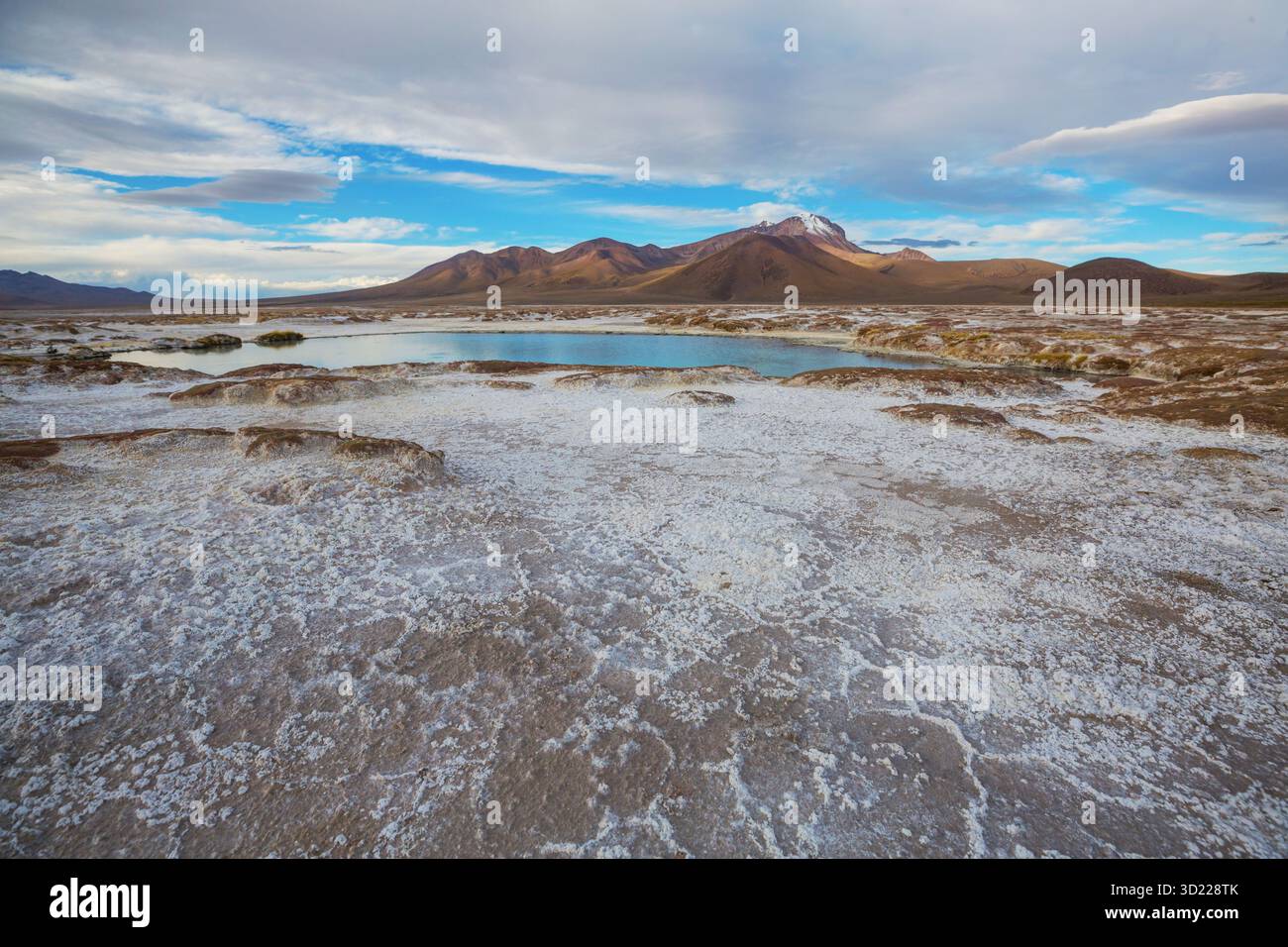 Natural Hot Spring in Atacama desert, Chile, South America Stock Photo ...