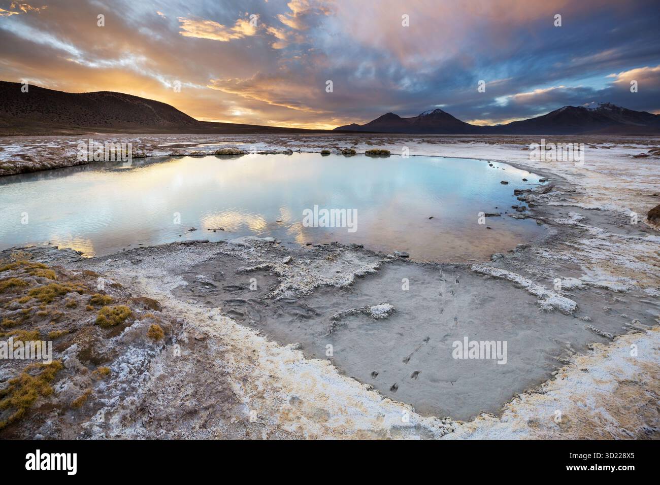 Natural Hot Spring in Atacama desert, Chile, South America Stock Photo ...