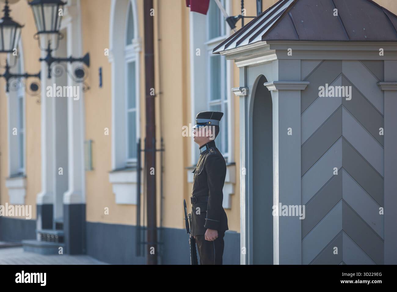 Guard of honour at Riga Castle, Presidential Palace Stock Photo - Alamy