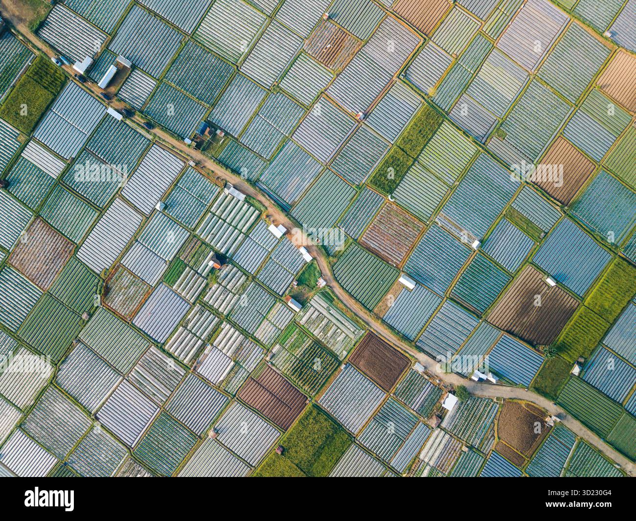Aerial view of patchwork farming fields with various geometric shapes ...