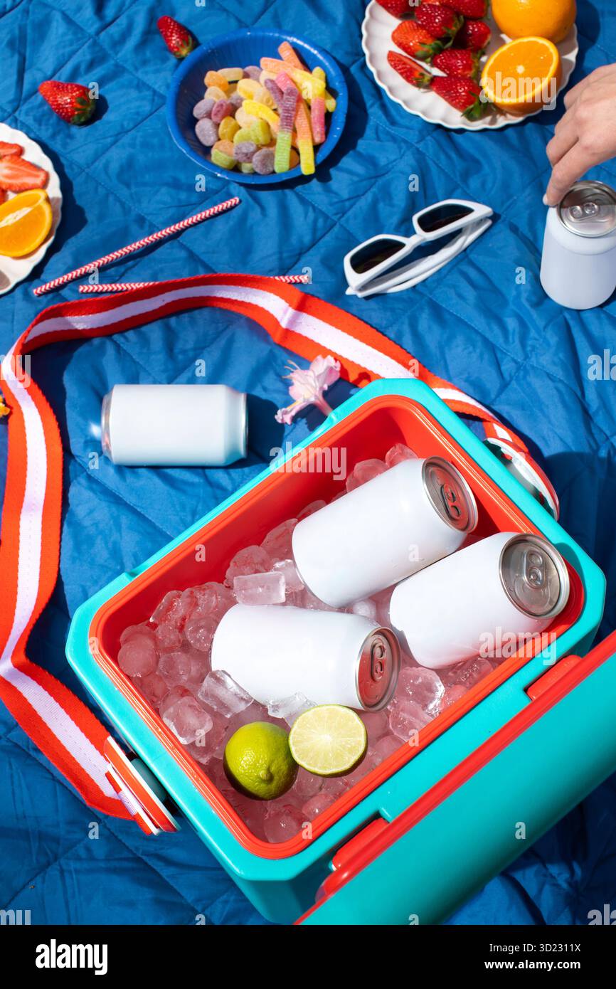 Woman taking blank drink can out of thermo box on picnic Stock Photo ...