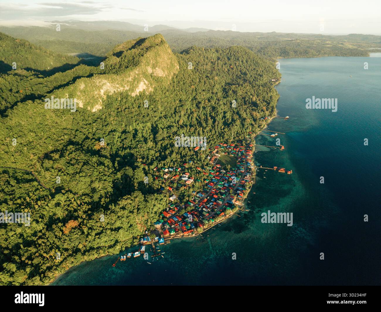 Aerial view of lush green mountainside and coastal village by a clear ...