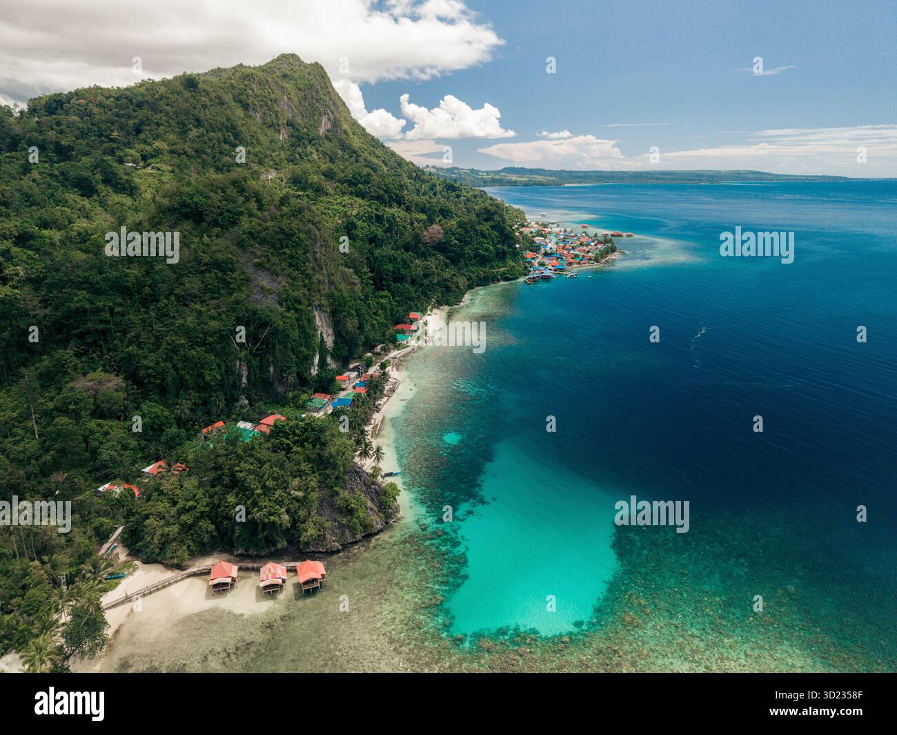 Aerial view of a tropical coastline with emerald waters and lush green ...