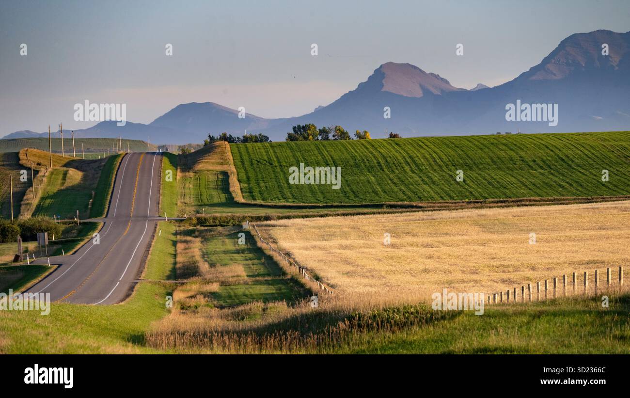 Scenic rural road flanked by green fields and mountains in the distance ...