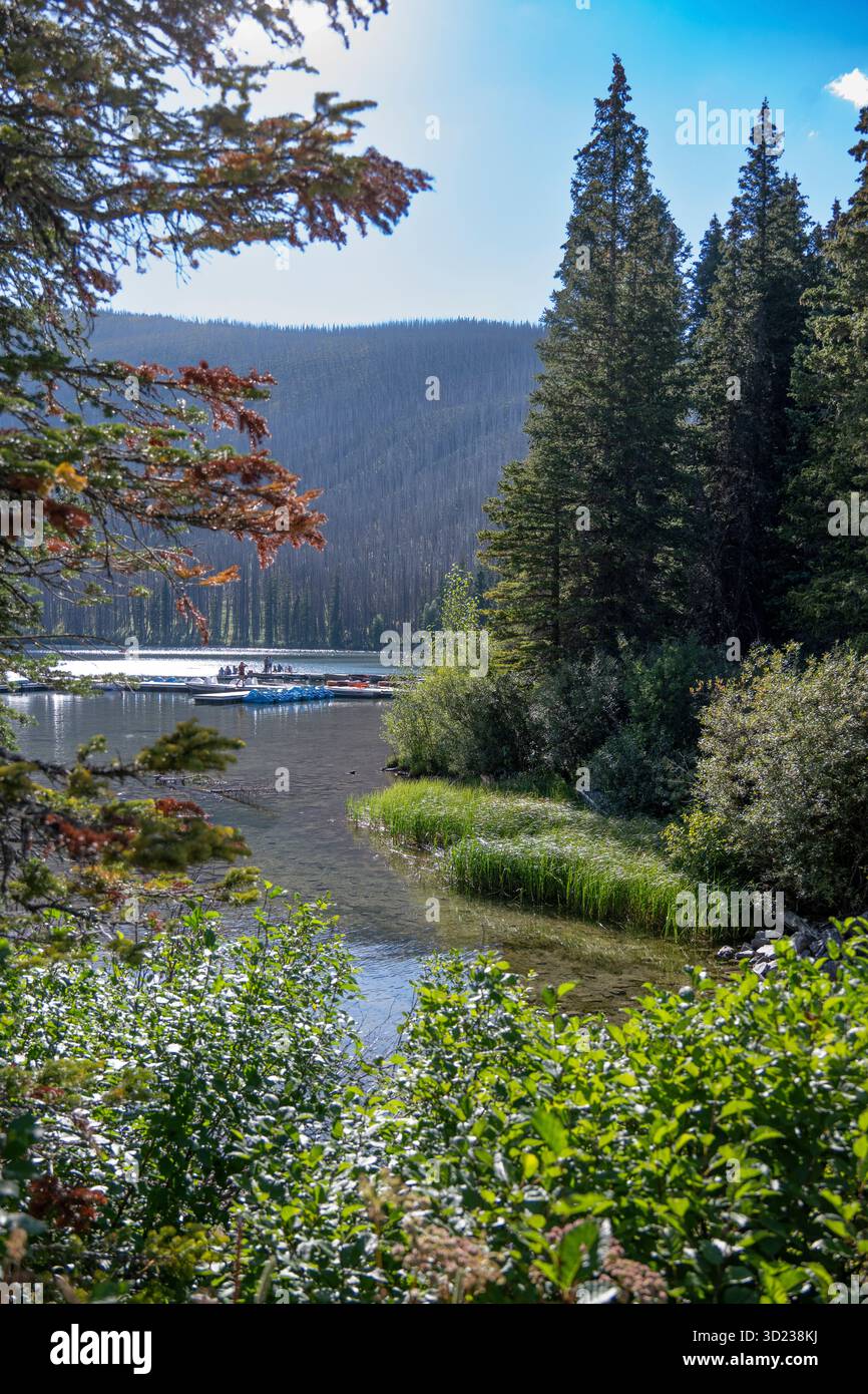 Beautiful park lake lush hi-res stock photography and images - Alamy
