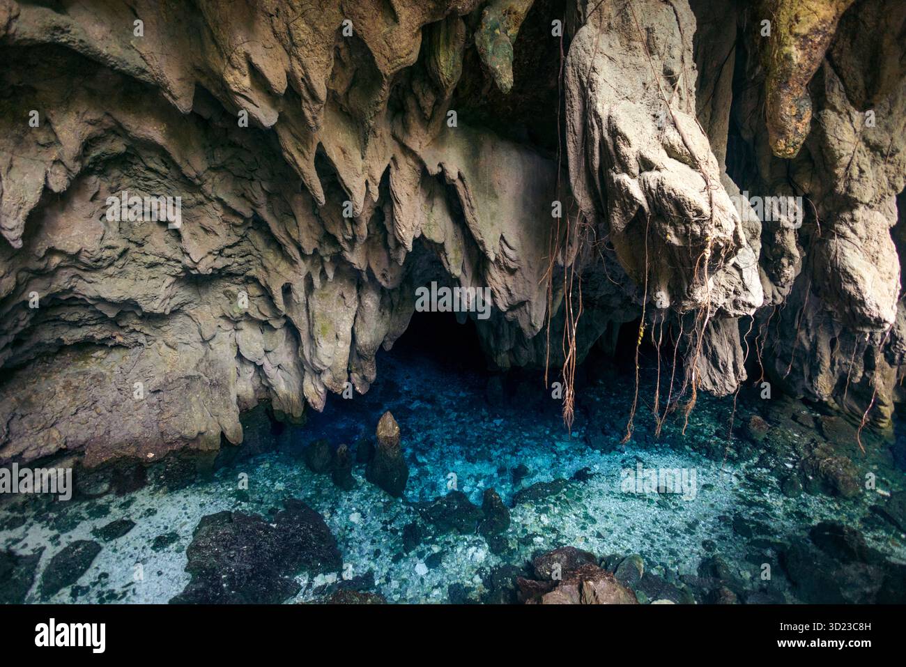 A rocky cave entrance with clear turquoise water and hanging vines. Air ...