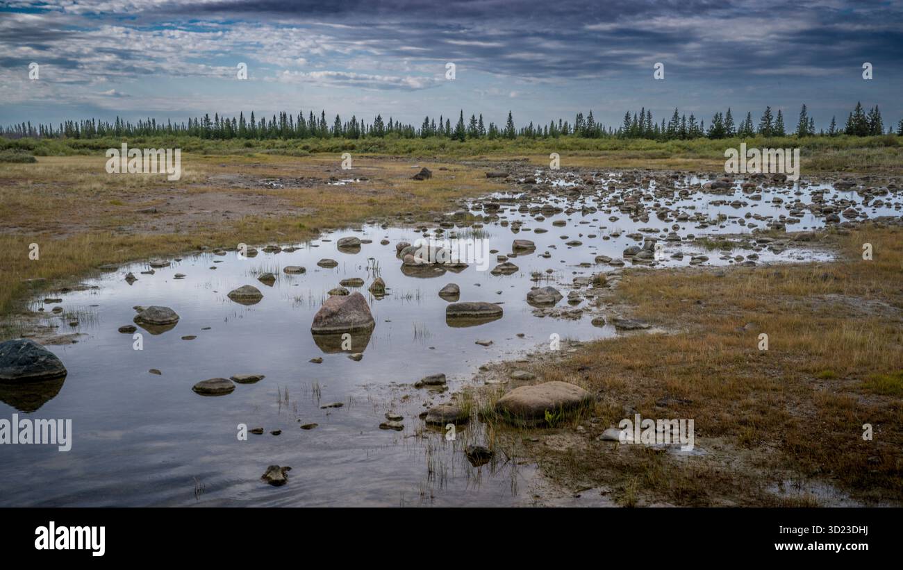 Serene landscape with scattered rocks in a shallow water body under a ...