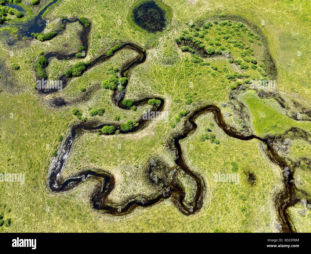 Aerial view of a winding river through vibrant green marshland with ...