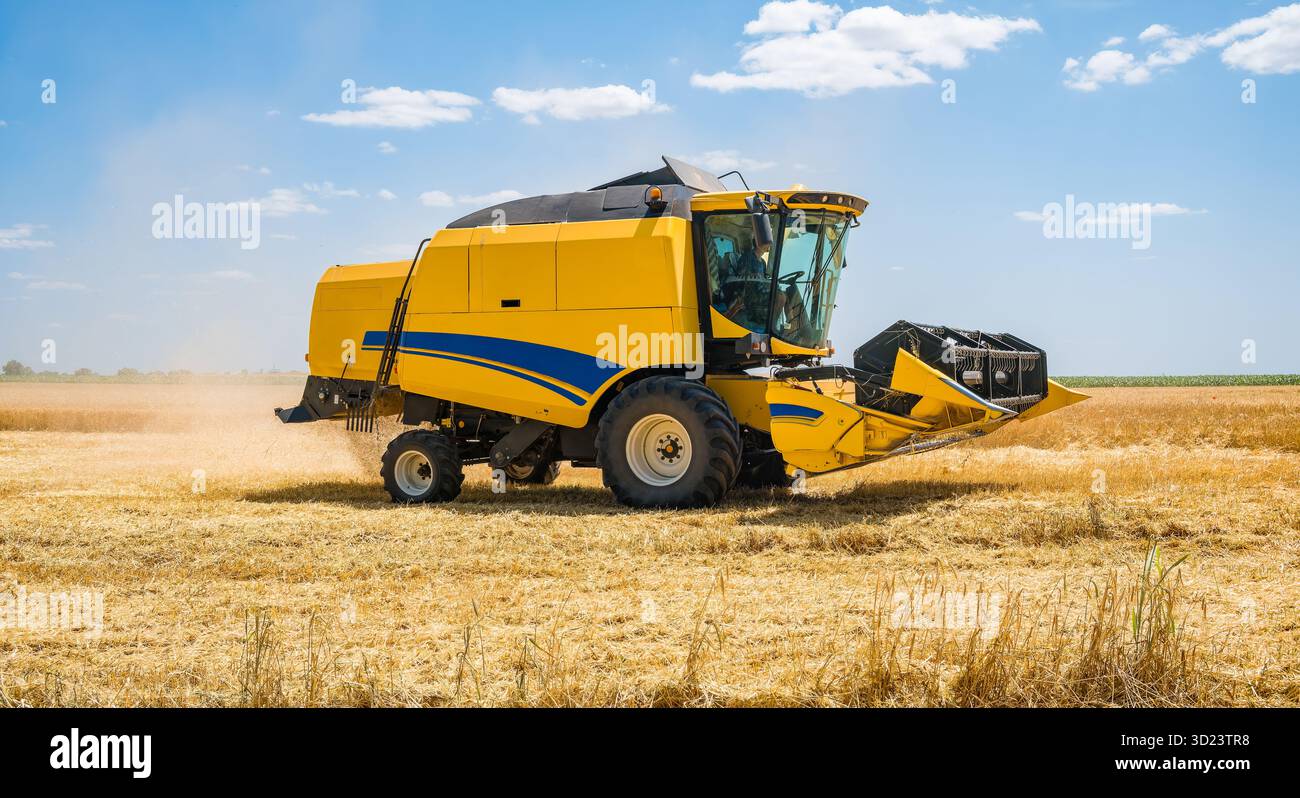 A yellow combine harvester operates in a golden grain field under a ...