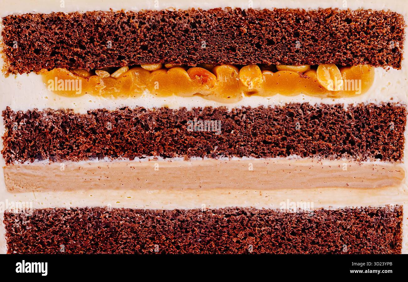 This dessert features a multi-layered chocolate cake with alternating layers of creamy frosting ...