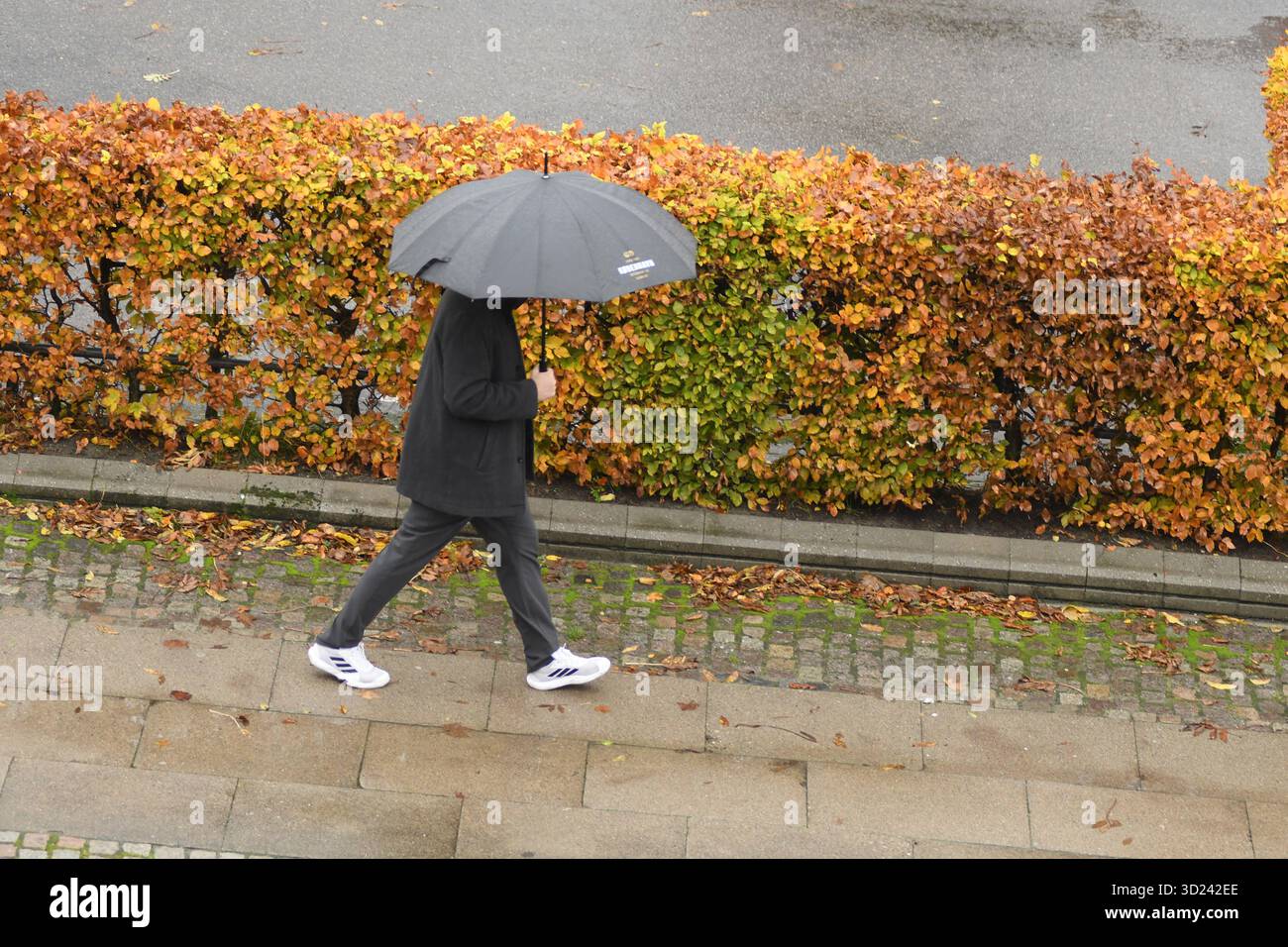 Copenhagen/ Denmark/30 OCTOBER 2025/.rain fall daish weather in kastrup ...