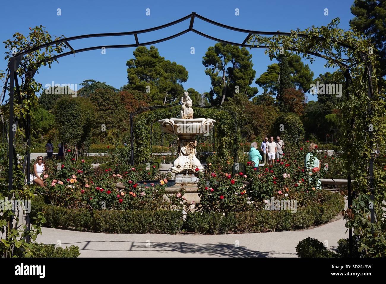 Spain, Madrid, Parque del Oeste, West Park, Rosaleda, Rose Garden Photo ...