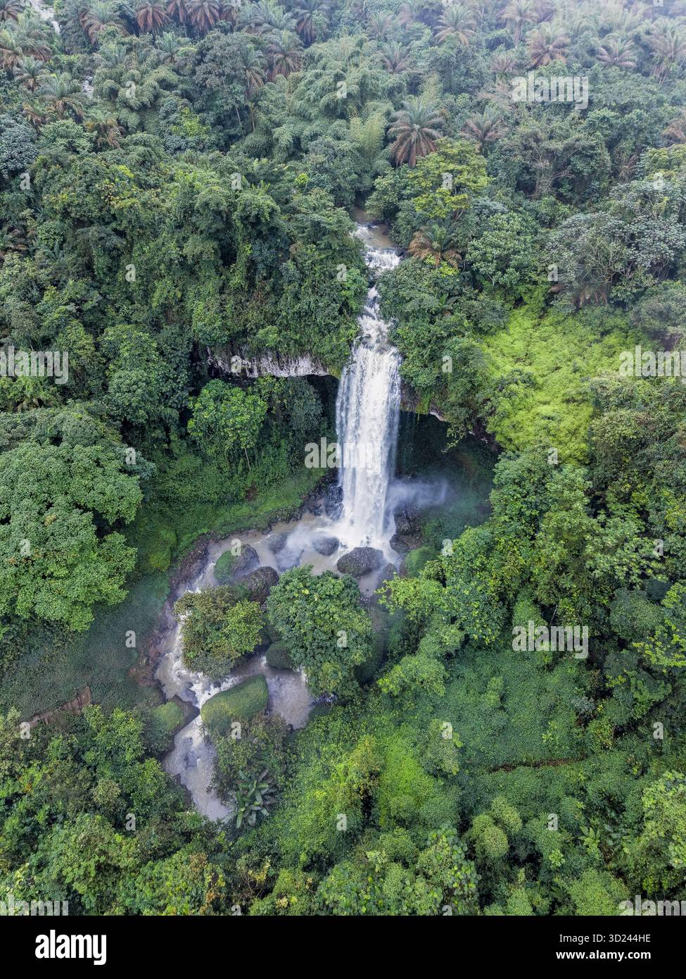 Aerial view of the cascading waterfall plunging into a pool surrounded ...