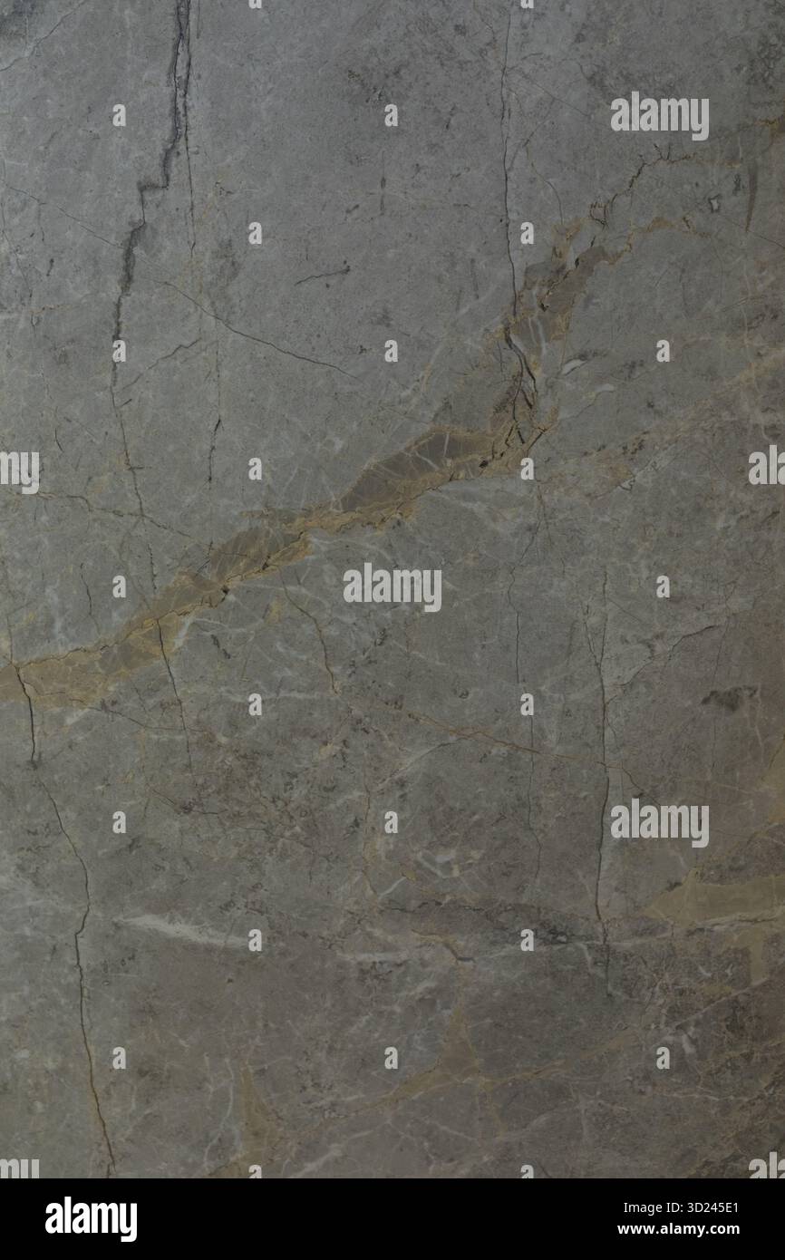 This close-up shows a textured stone surface, revealing intricate ...