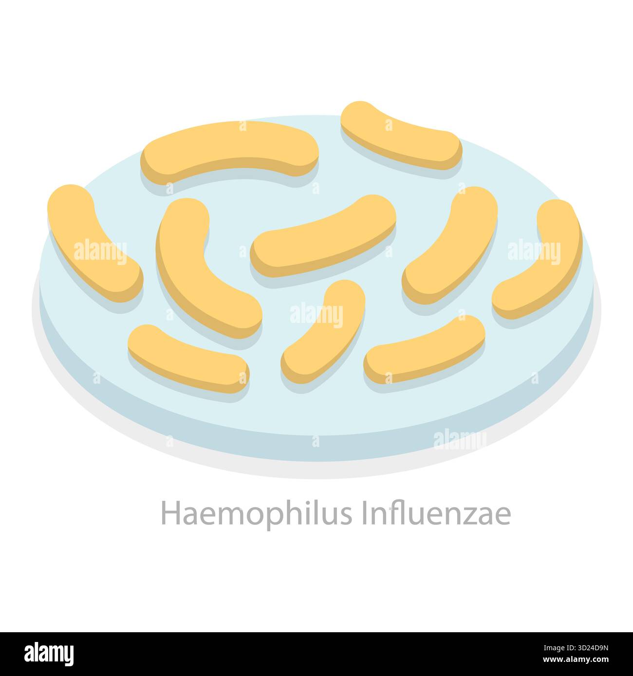 3D Isometric Flat Illustration of Upper Respiratory Tract Infection ...