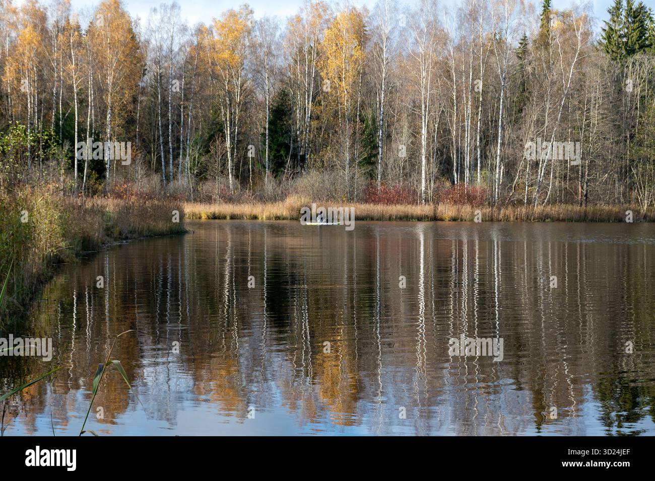 autumn landscape, lake shore, day by the lake, colorful trees ...