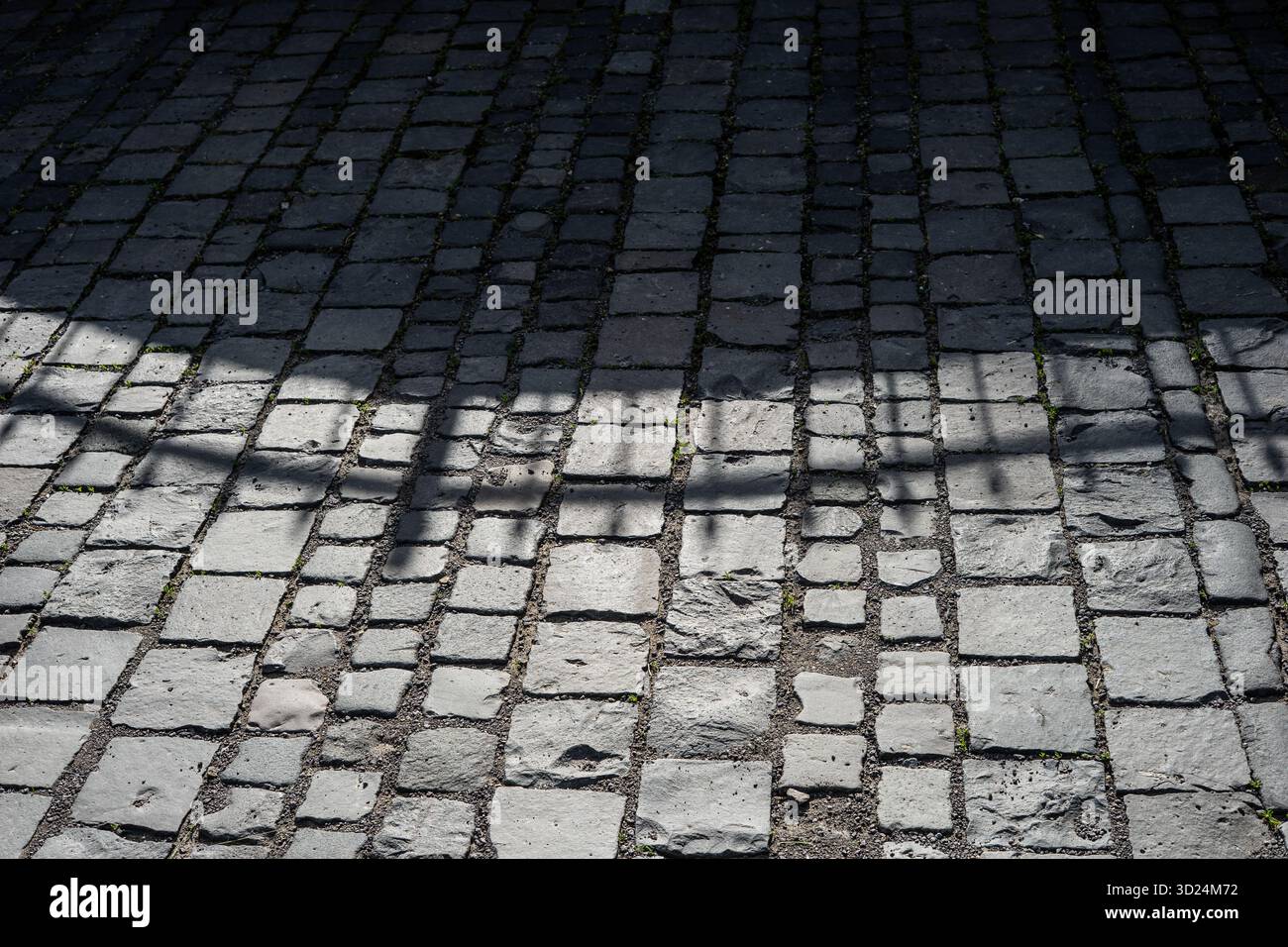 Shadow of an iron railing cast across old cobblestone pavement in ...