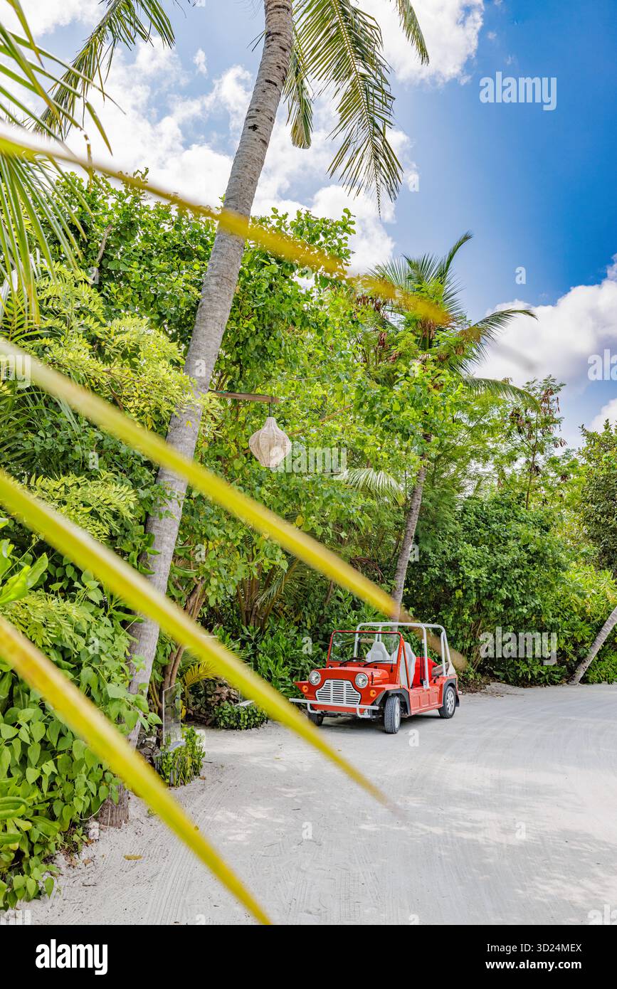 Green jungle palm trees along sandy trail with red buggy off road ...