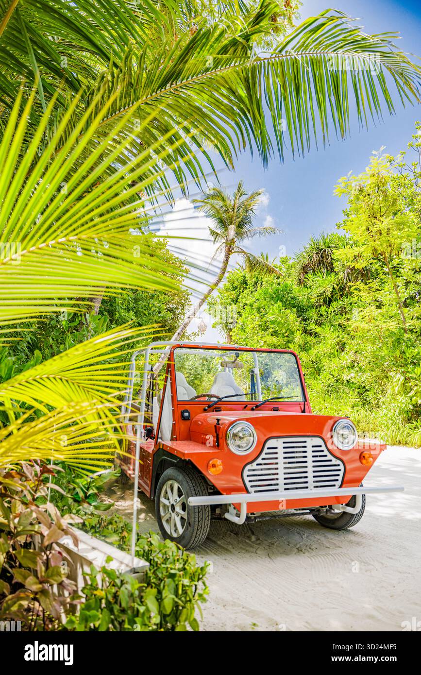 Motion jungle road palm trees hi-res stock photography and images - Alamy