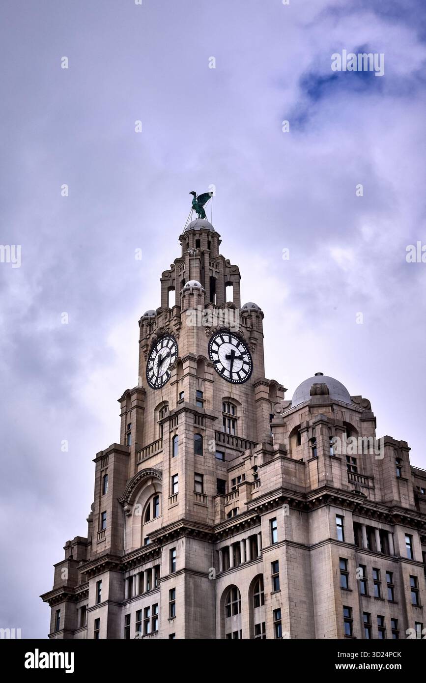 An impressive view of the Royal Liver Building in Liverpool. The ...