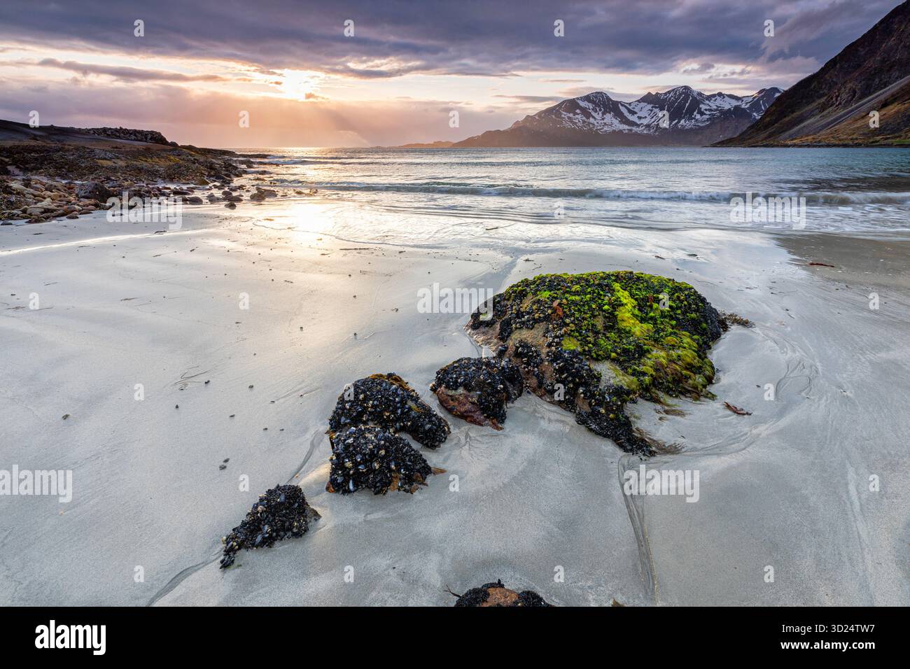 Norway sunset beach in Grotfjorden Stock Photo - Alamy