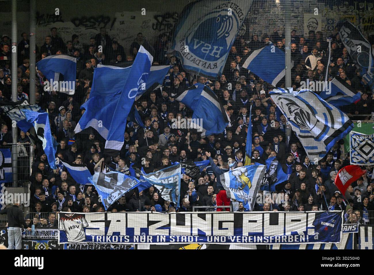 Fan block, fans, fan curve, flags, atmosphere, atmospheric Hamburger SV ...