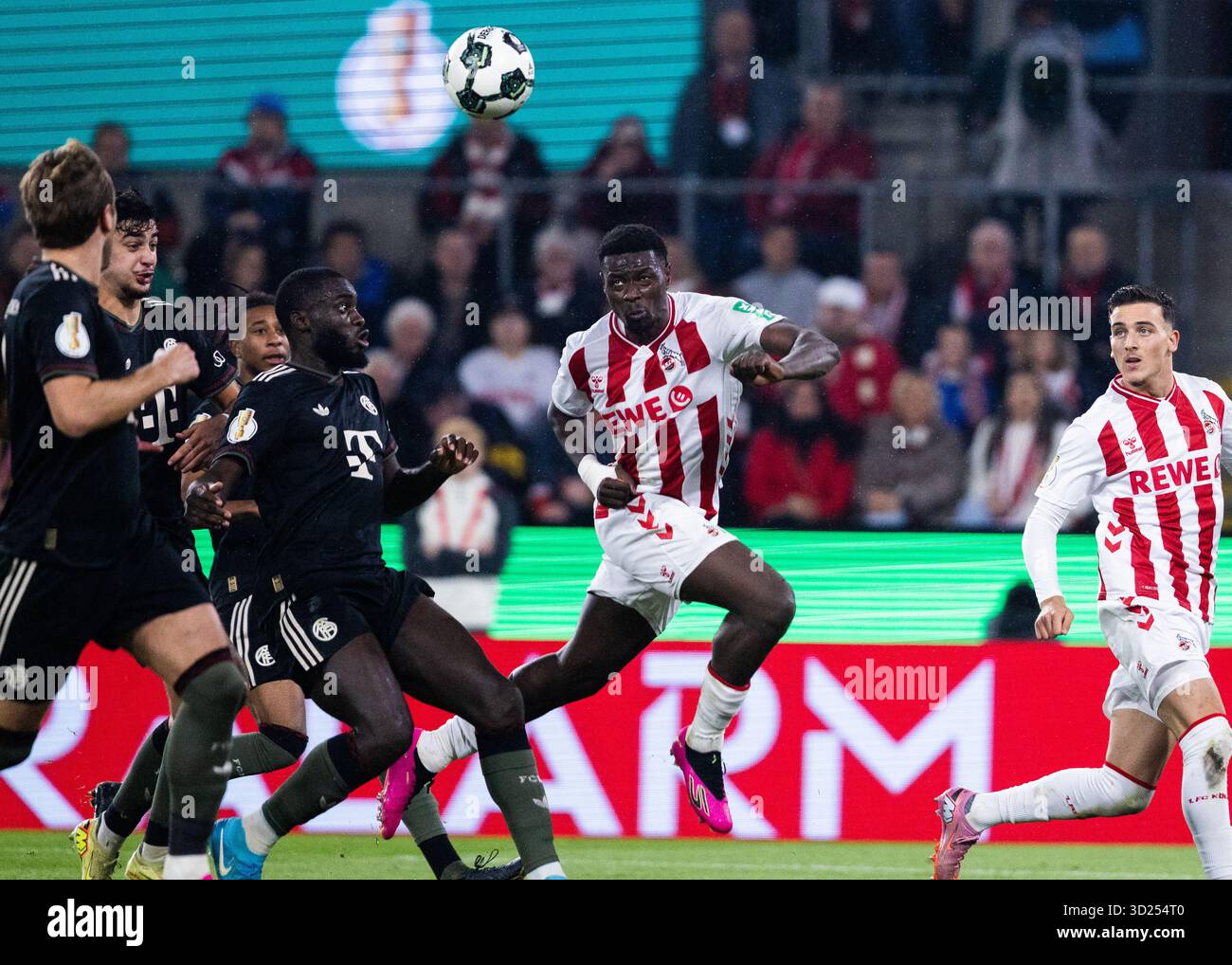 Koeln, RheinEnergieStadion, 29.10.2025: Ragnar Ache of Koeln jumps for ...