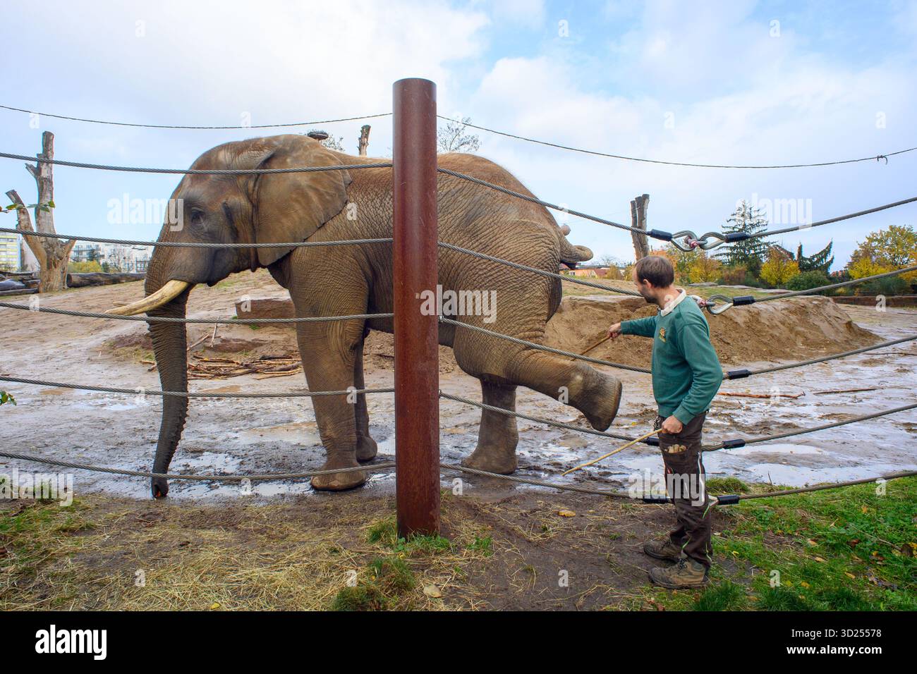 PRODUCTION - 30 October 2025, Saxony-Anhalt, Magdeburg: Animal keeper ...