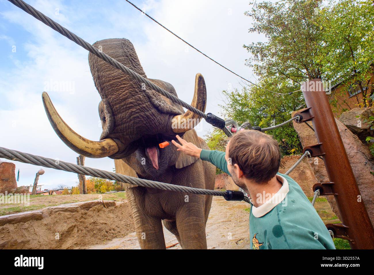 PRODUCTION - 30 October 2025, Saxony-Anhalt, Magdeburg: Animal keeper ...