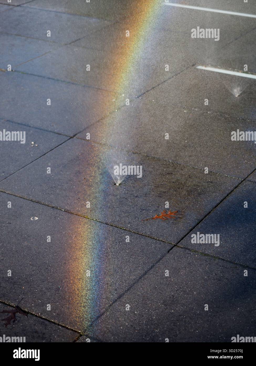 Rainbow forming through fine water mist on wet city pavement Stock ...