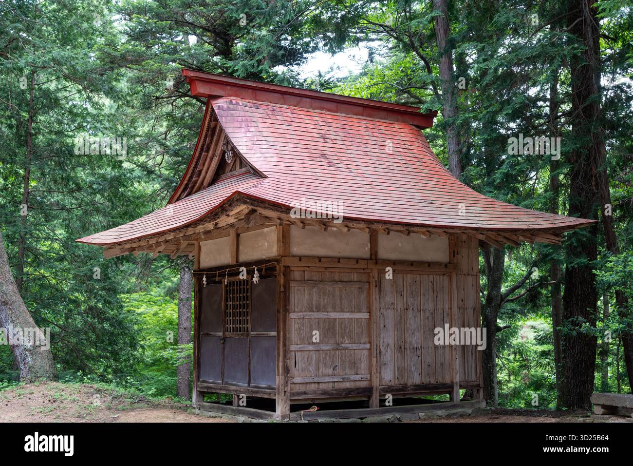 Traditional wooden architecture of Shinmei Shrine in Takayama blends ...