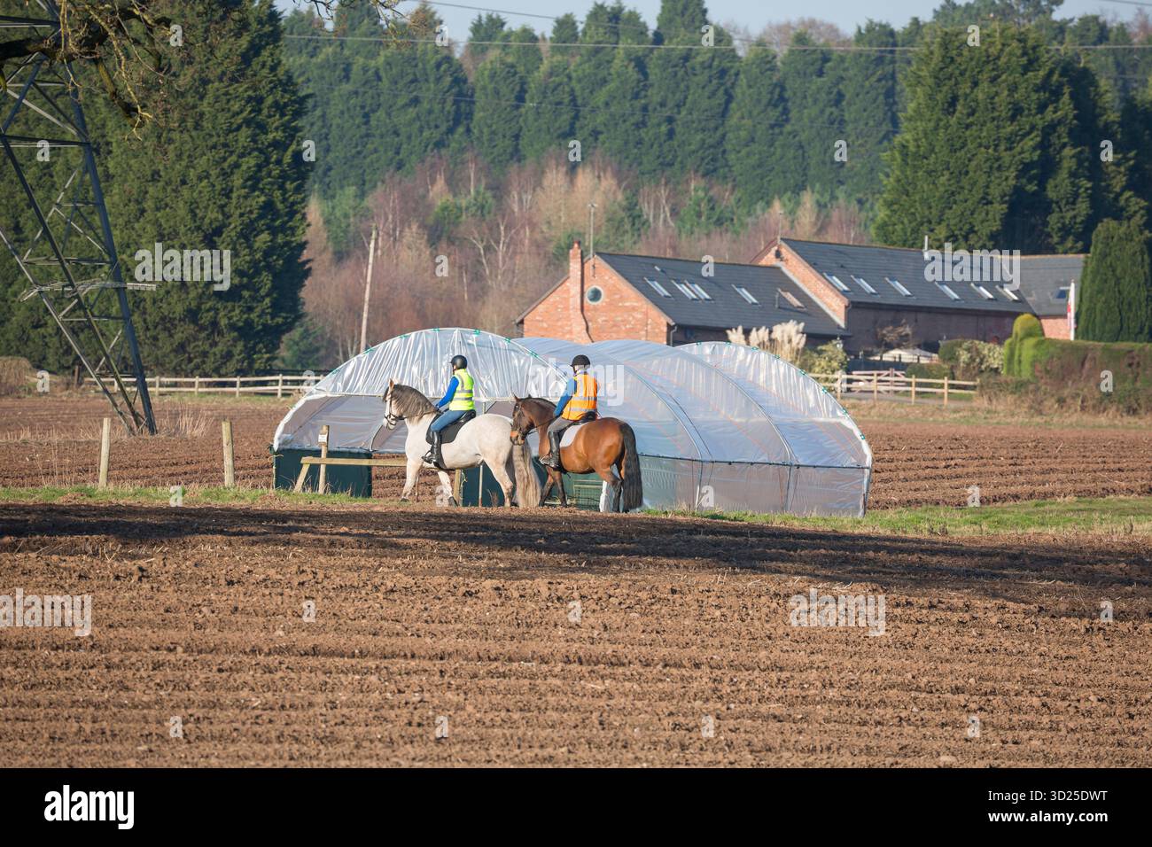 Side view of two horse riders on horses wearing hi-vis jackets while ...