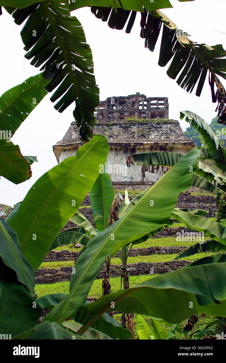 Mexico. Chiapas state, Palenque Mayan ruins and archaeological site in ...