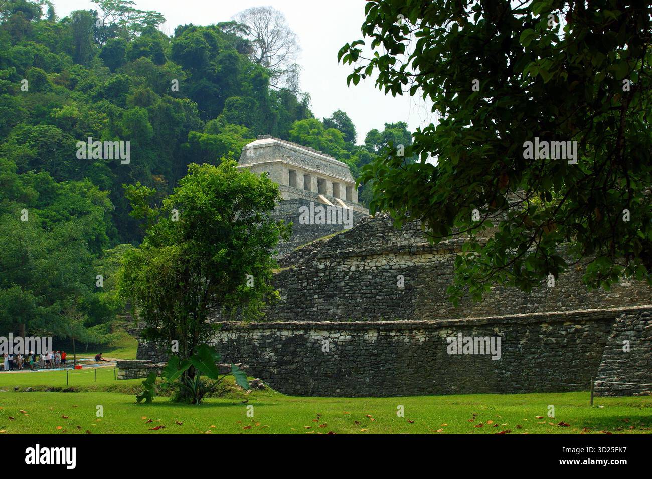 Mexico. Chiapas state, Palenque Mayan ruins and archaeological site in ...