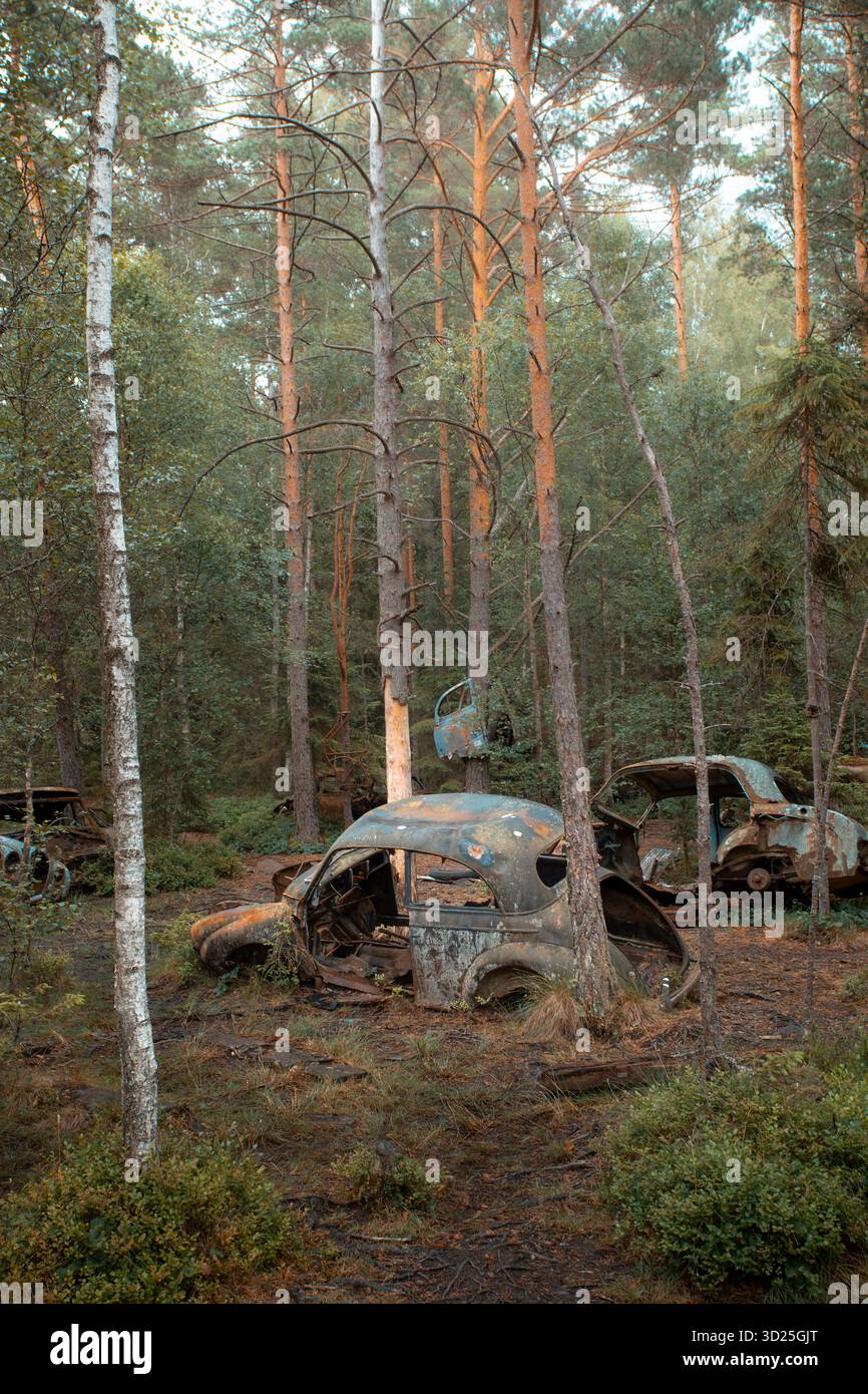 Kyrkö Car Cemetery in Almundsryd, Sweden – Abandoned Vintage Cars ...
