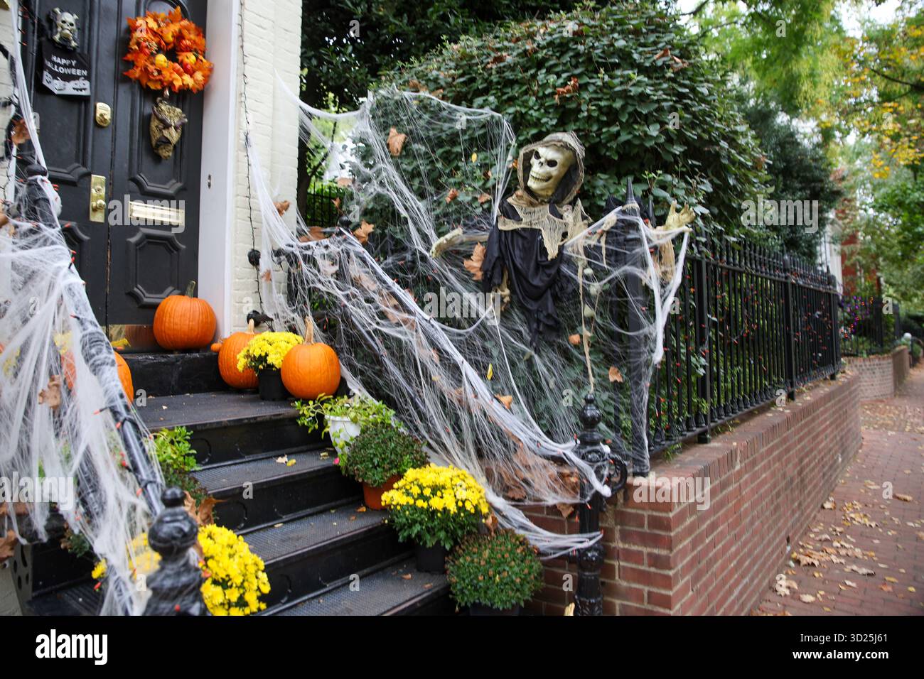 Historic Georgetown comes alive with the magic of the season as homes ...
