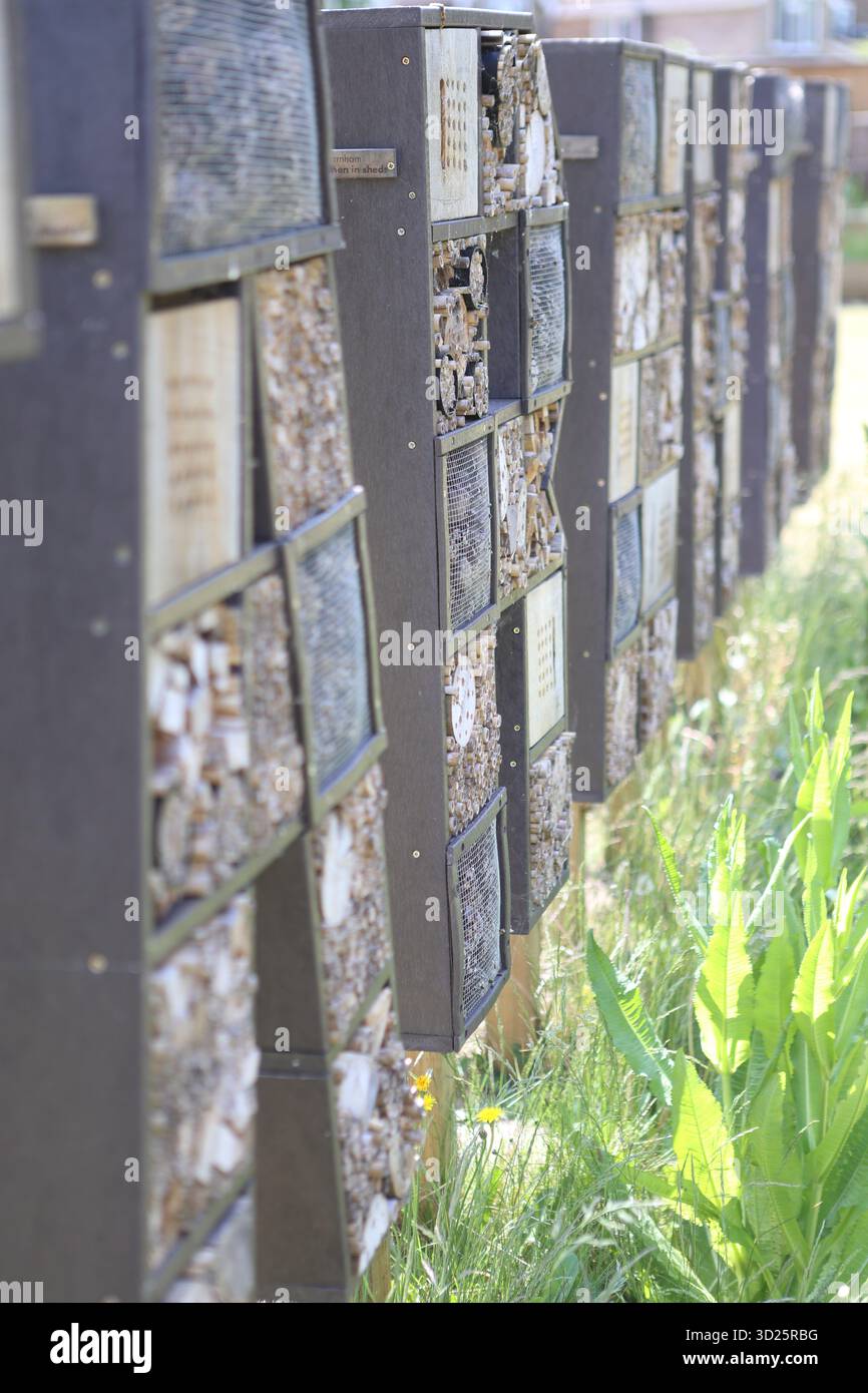 Bug hotel in Farnham Surrey UK Stock Photo - Alamy