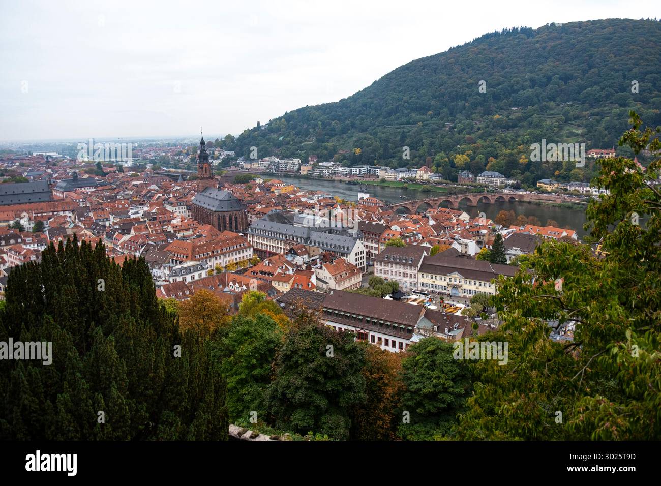 Karl theodor bridgebridge arch bridge crosses the neckar river hi-res ...