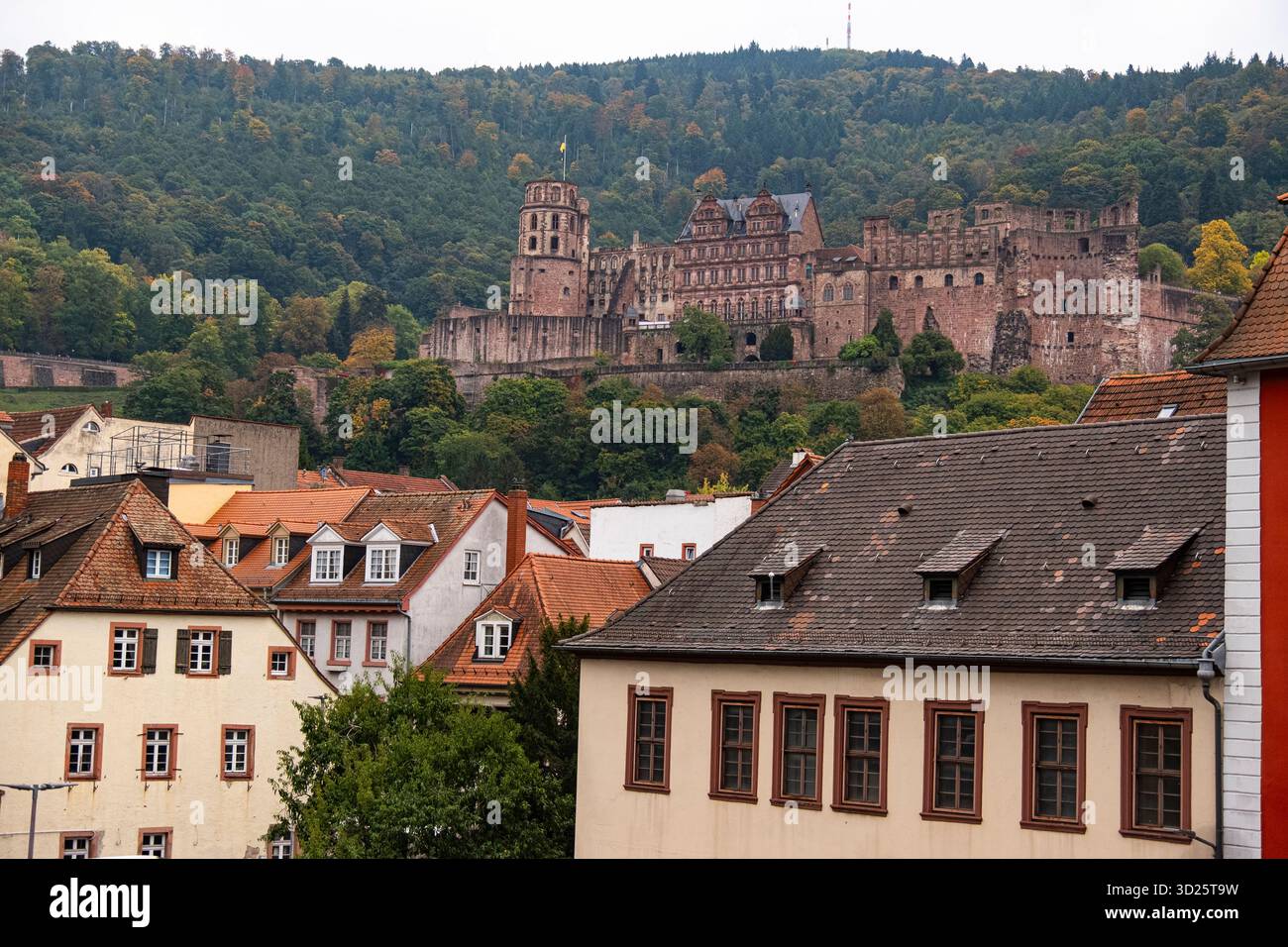 Schloss served by station on heidelberger bergbahn funicular railway hi ...
