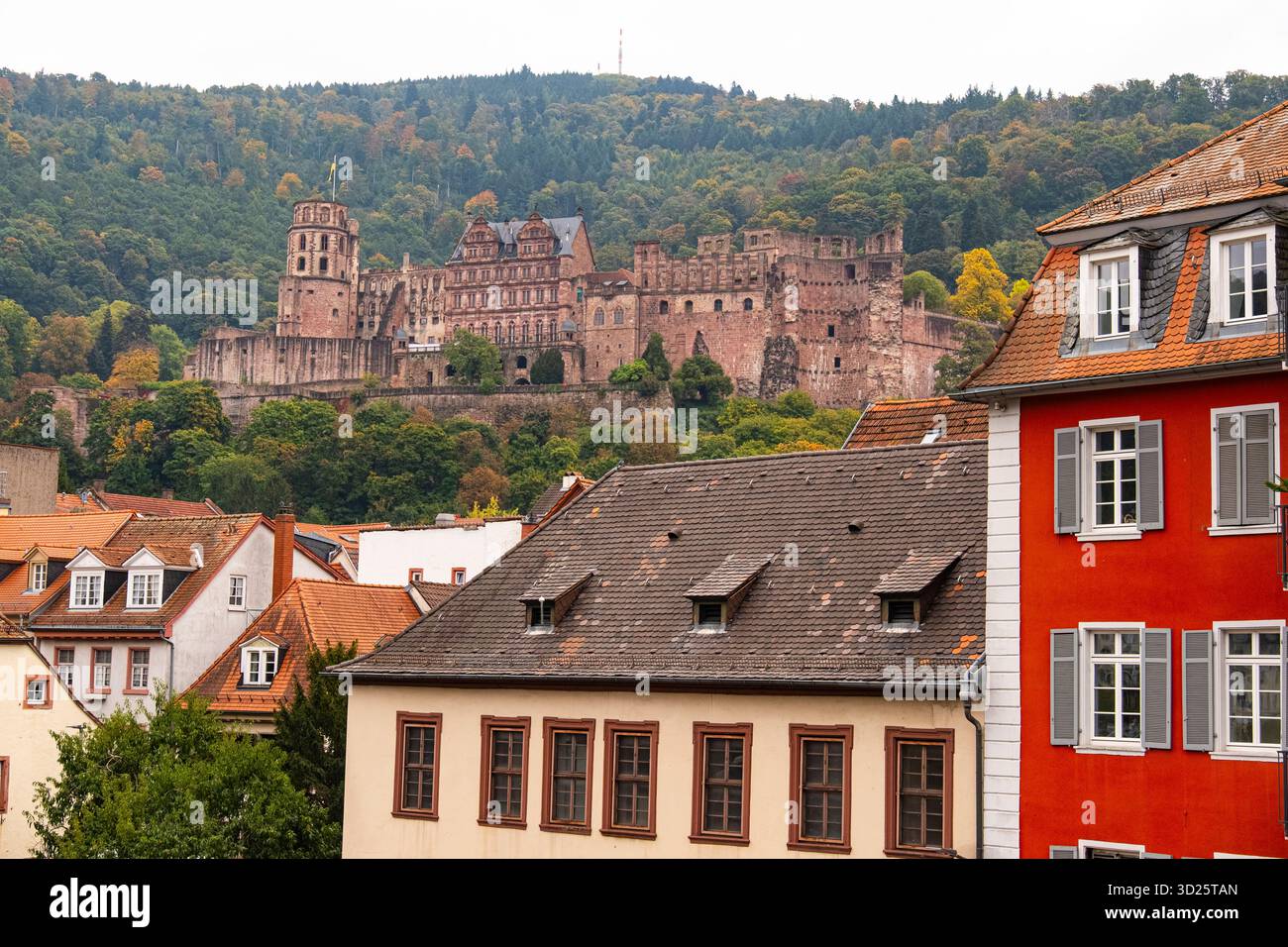 Schloss served by station on heidelberger bergbahn funicular railway hi-res stock photography ...