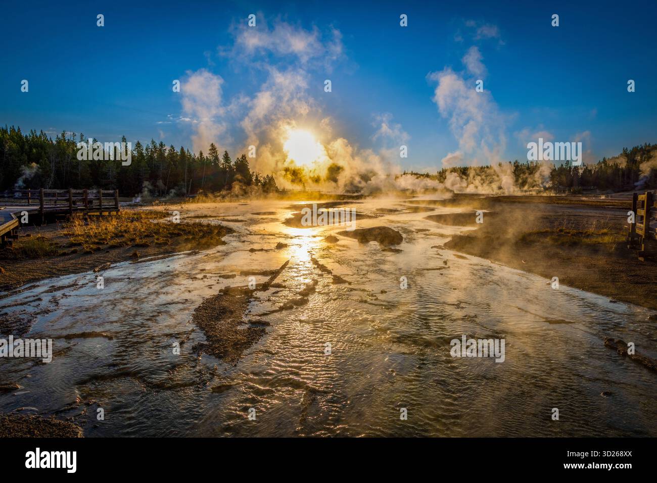 Sunrise light shining through steam at Norris Geyser Basin, Yellowstone ...