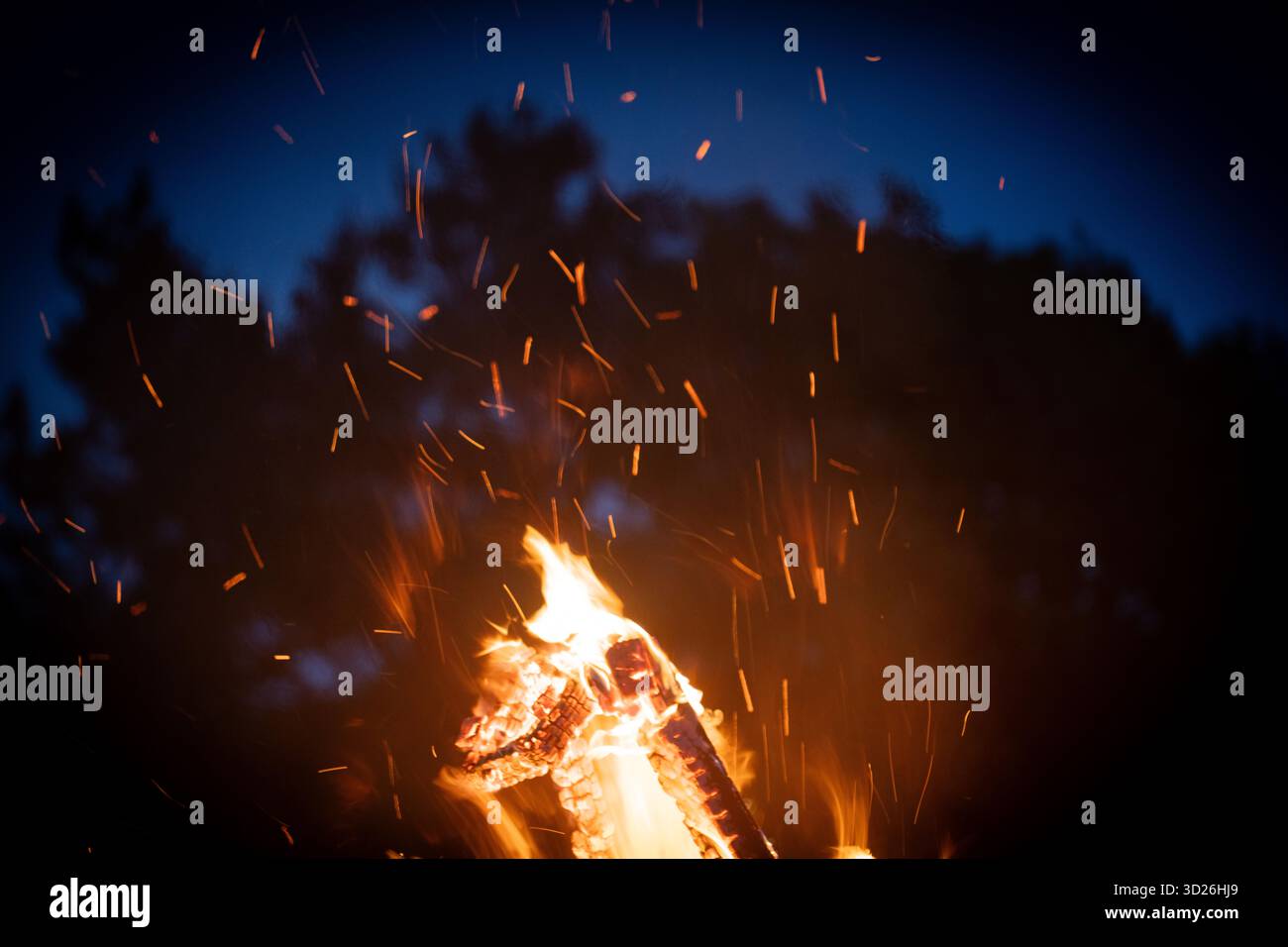 A wolf effigy is burned and illuminates the night sky at a fire ...