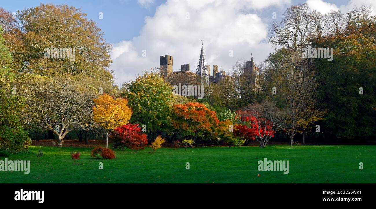 Autumn scene of Cardiff Castle from Cooper's Field / Castle Grounds ...