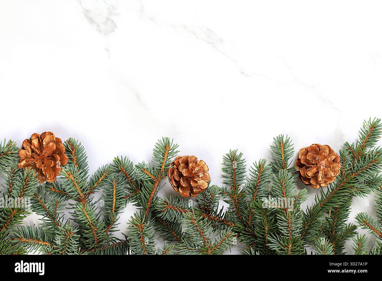 Christmas and New Year 2024 background with blue fir branches with ...