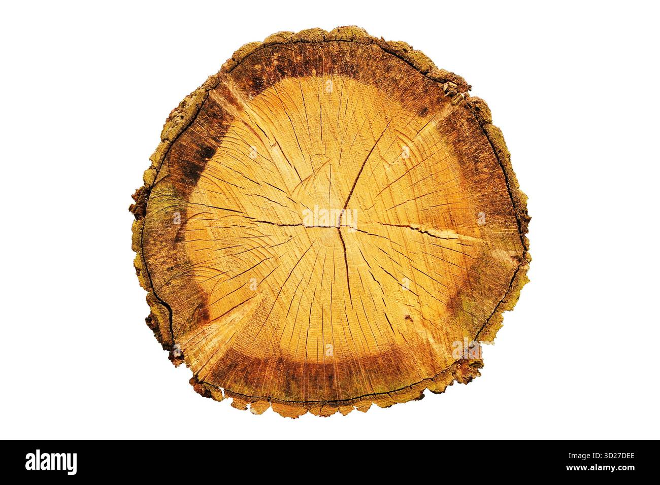 Natural sawn wooden log Cut Out Stock Images & Pictures - Alamy