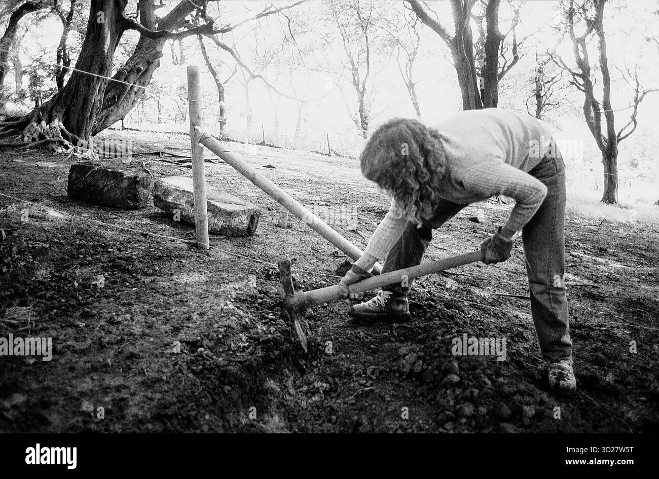 Volunteer restoration Black and White Stock Photos & Images - Alamy